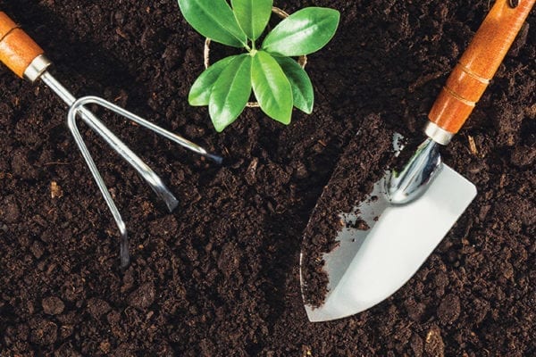 Putting Soil First - How To Clean It Up | Soil | Tanya Visser