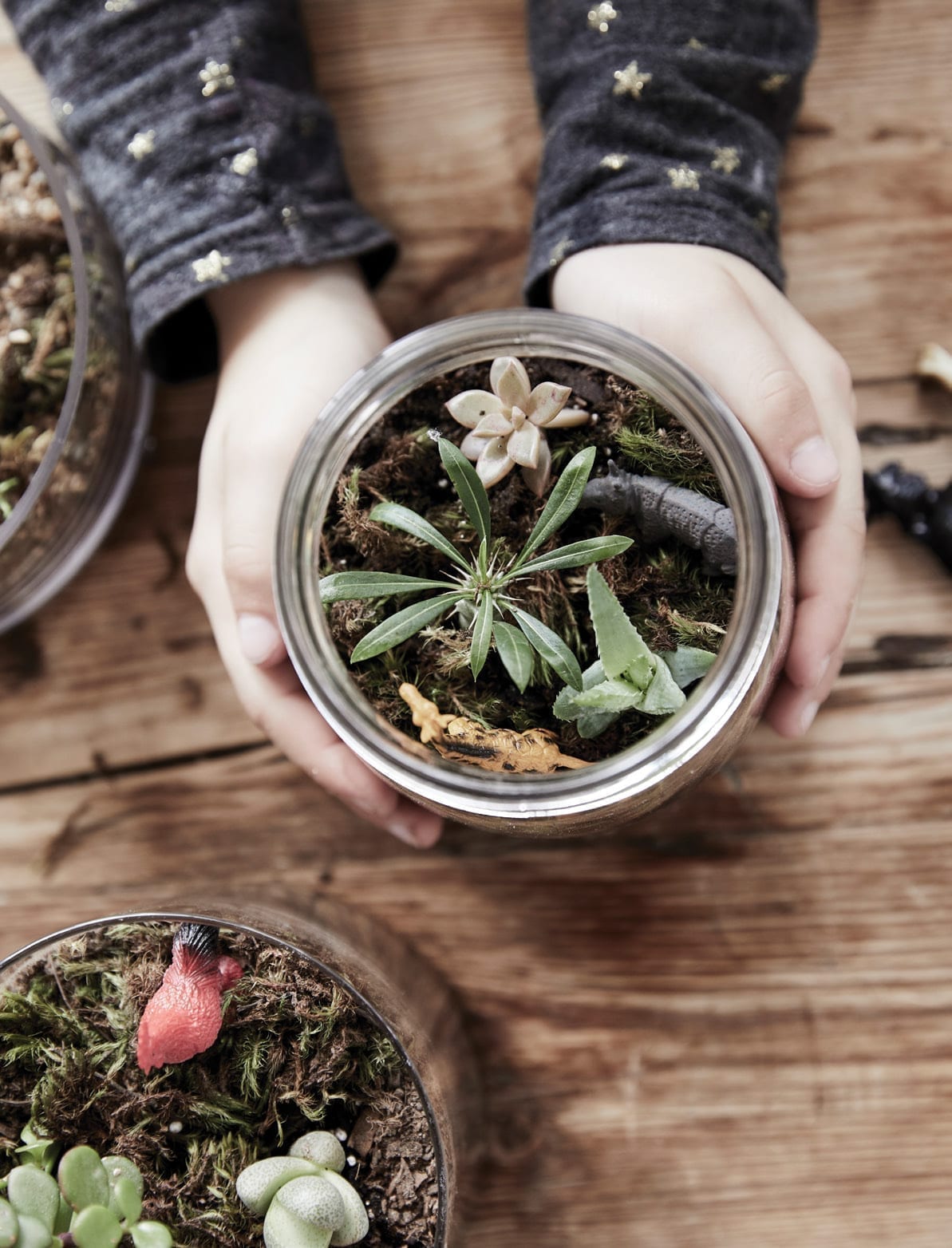 Making Terrariums With Your Kids | Kids | Tanya Visser