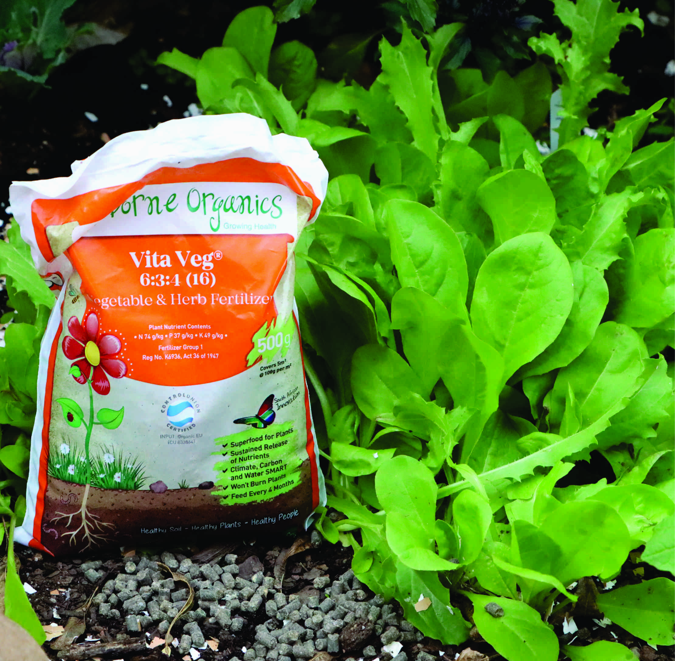 Vita Veg Organic Fertilizer 500g - Tanya Visser