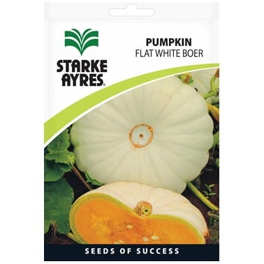 Pumpkin Seed - Flat White Boer - Tanya Visser