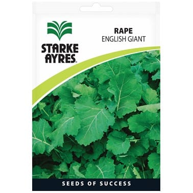 Rape Seed - English Giant - Tanya Visser