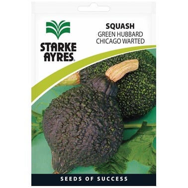 Squash - Green Hubbard Chicago Warted - Tanya Visser