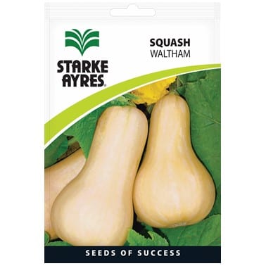 Squash - Waltham (Butternut) - Tanya Visser